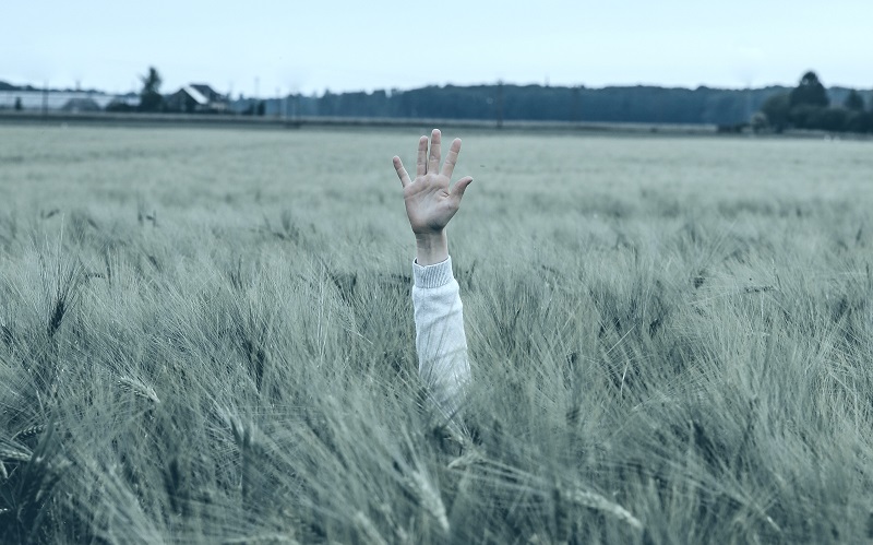 Service FAQs | Oxford Mosaic