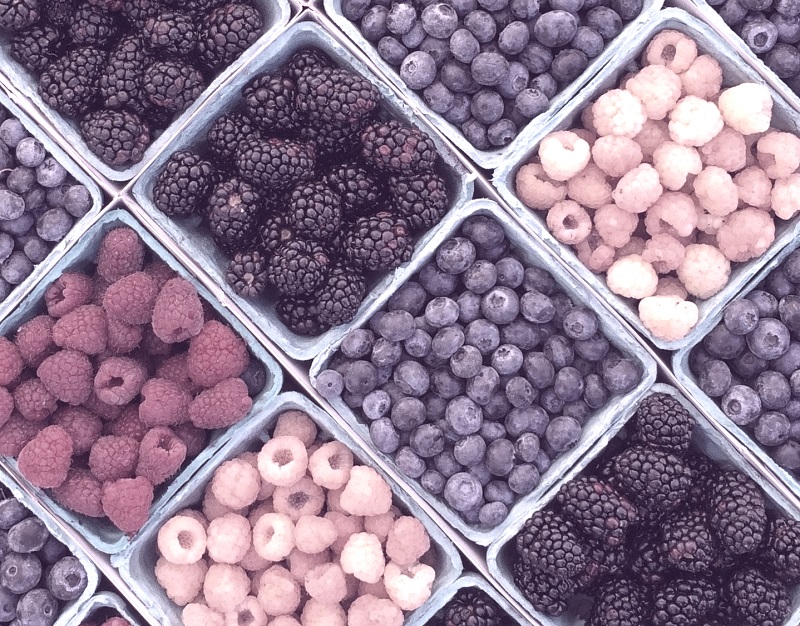 Webforms | Oxford Mosaic